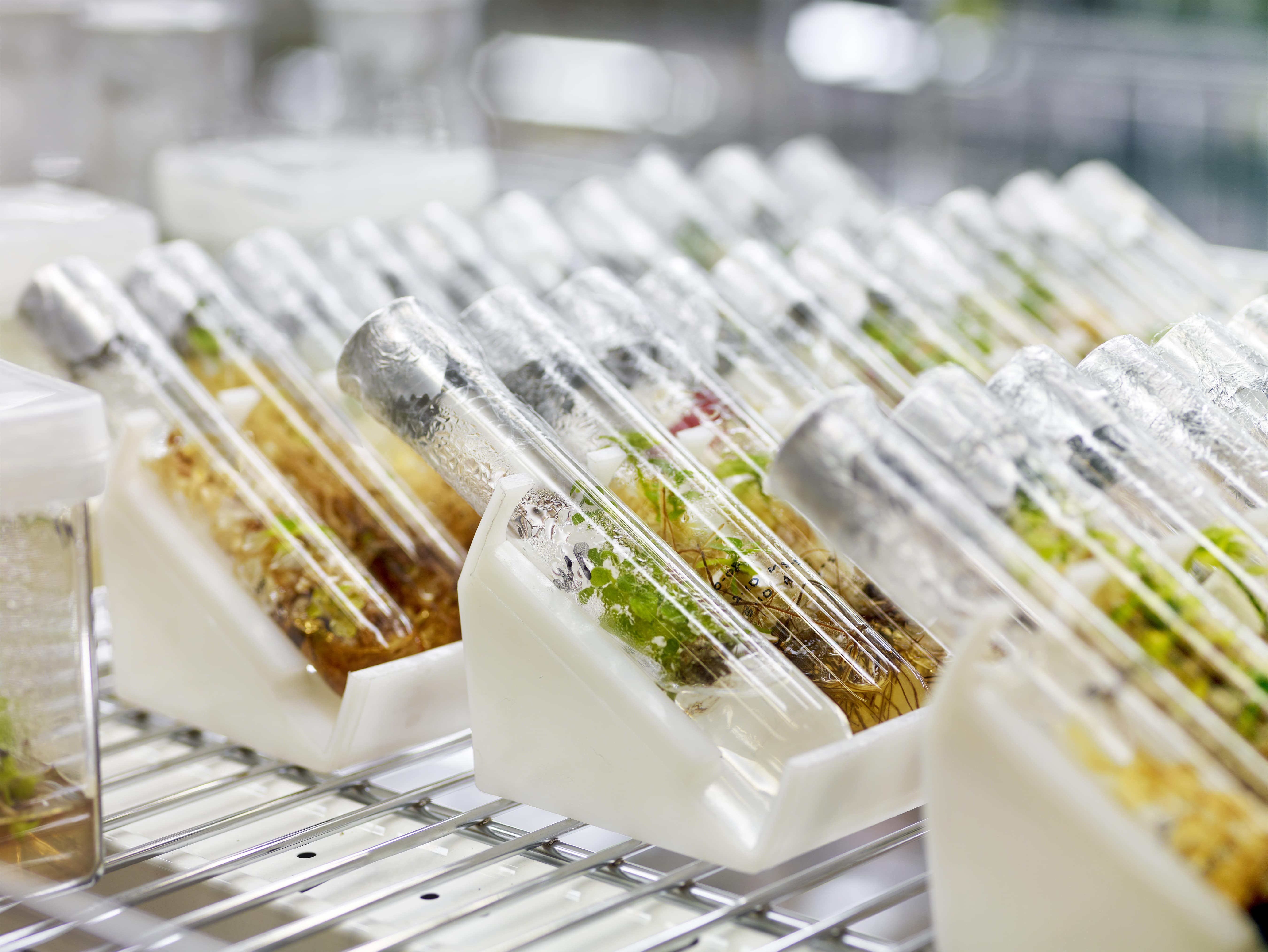 Executive Pay and TSR Performance in Commercial Biotech: A Governance ...
